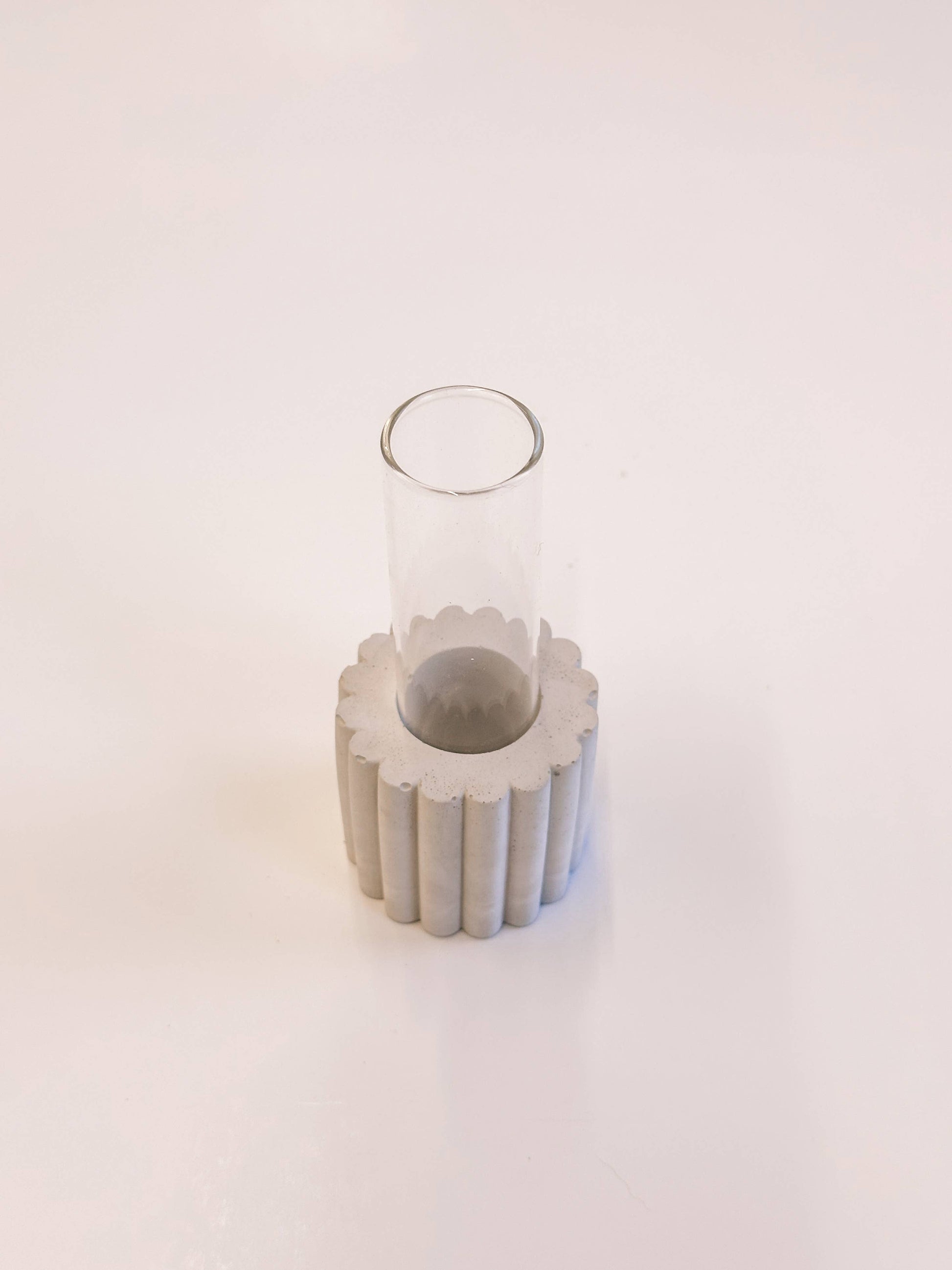 Scallop Concrete Propagation Vase Tube Station – The Plant Room