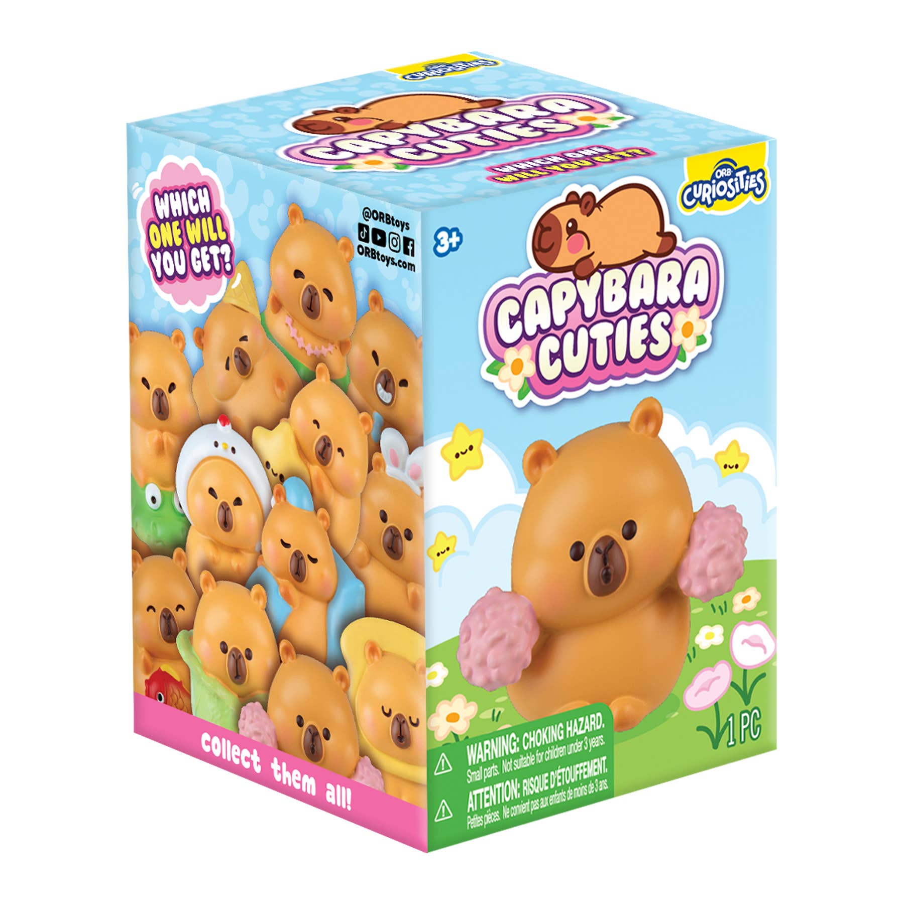 Capybara Cuties Blind Boxes – The Plant Room