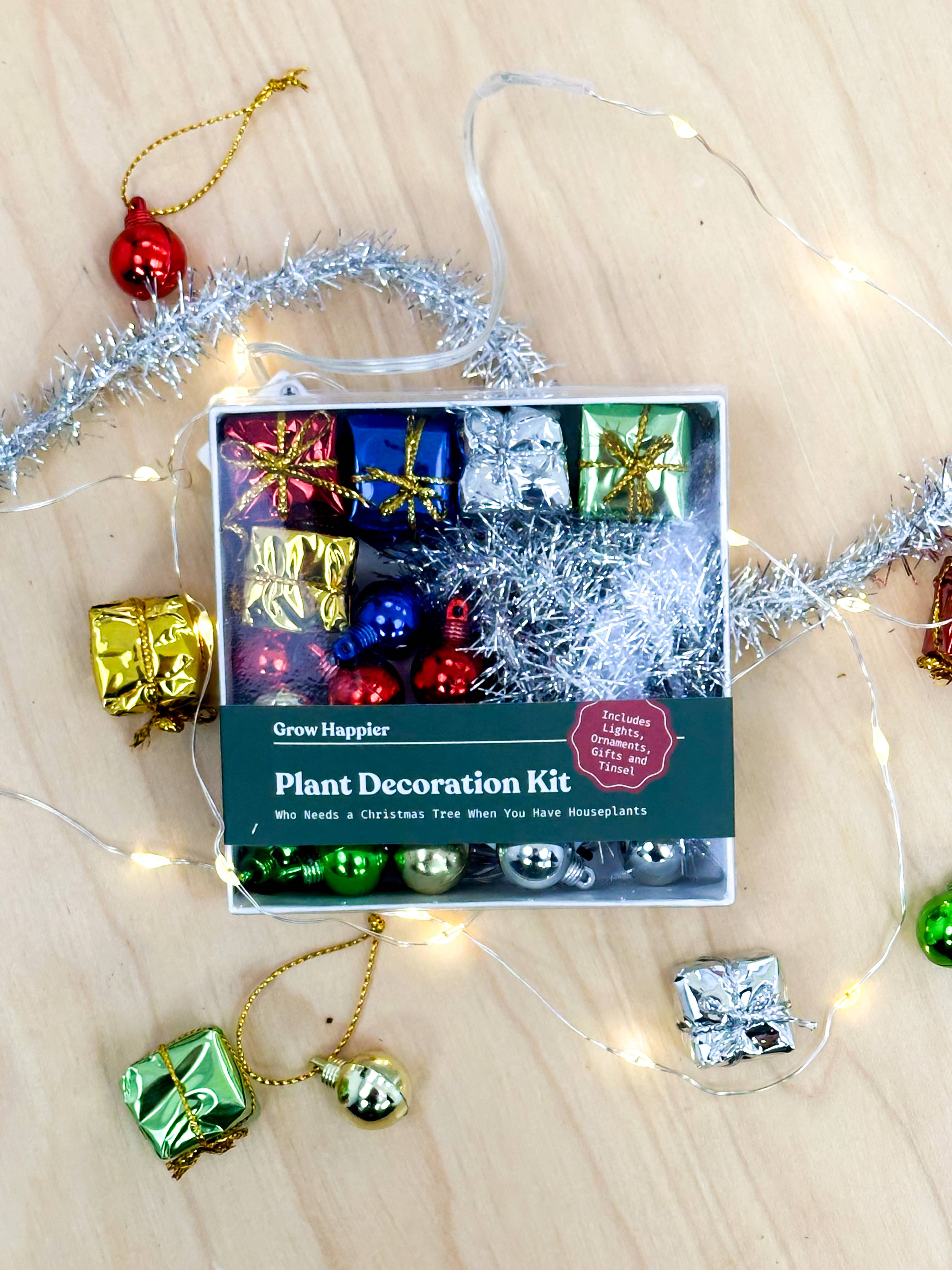 Plant Decoration Kit With Working Christmas Lights – The Plant Room
