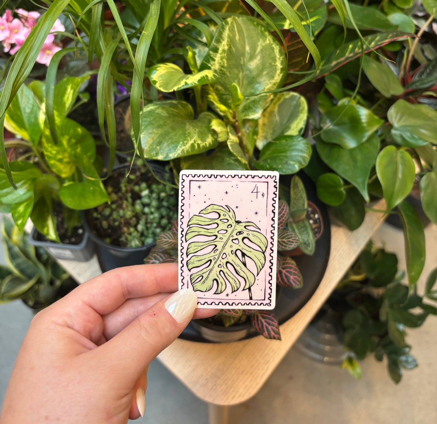 Monstera Leaf Sticker - Postage Stamp Rare Plant Sticker – The Plant Room