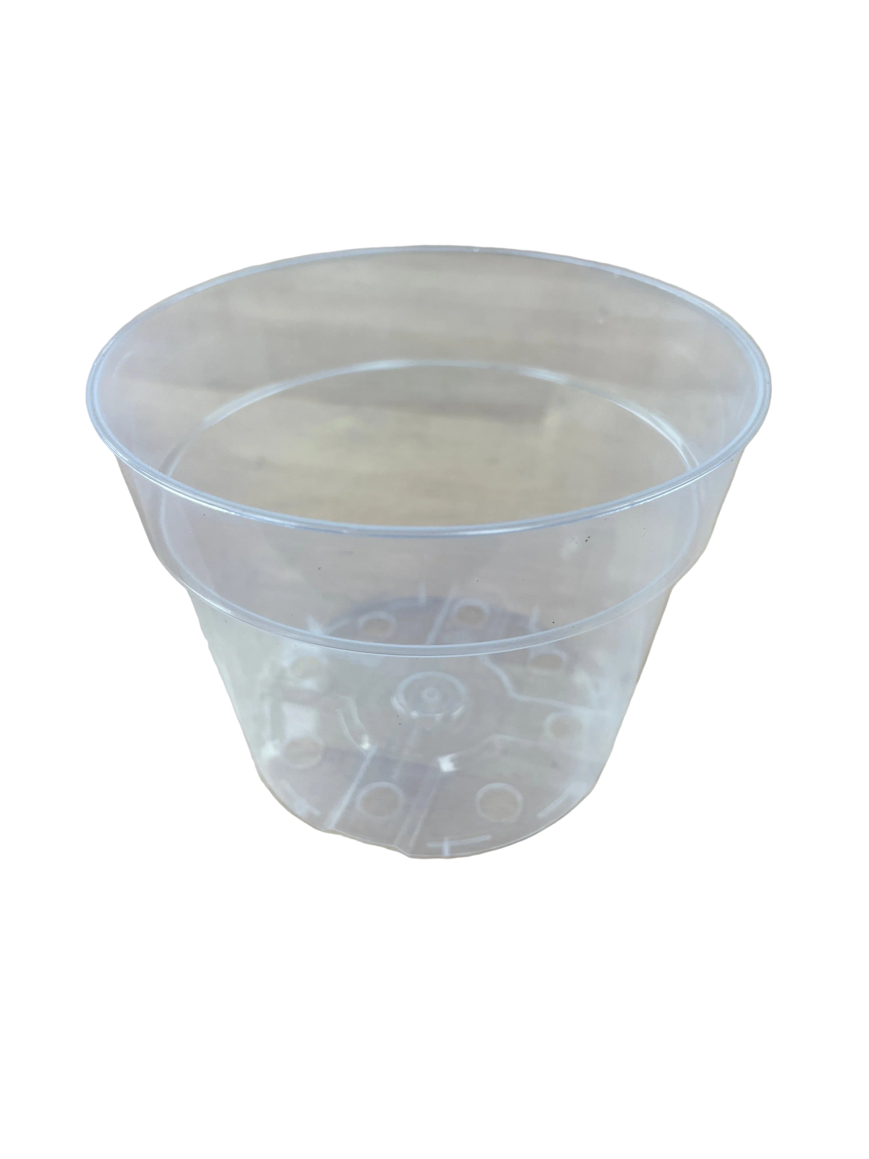 6” Clear Pot – The Plant Room