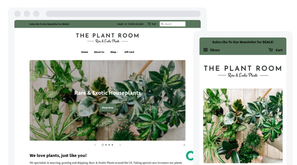 Stapelia ‘Schinzii’ – The Plant Room